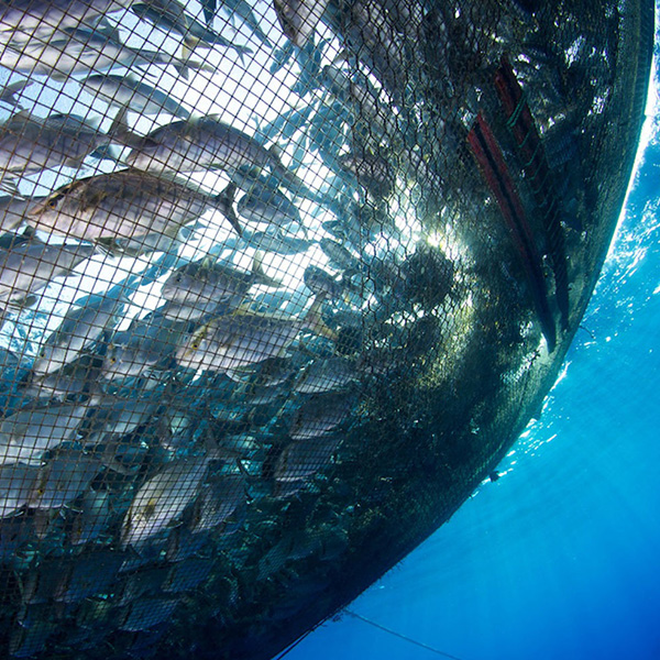 Time to ensure long-term sustainable use of our marine resources ...