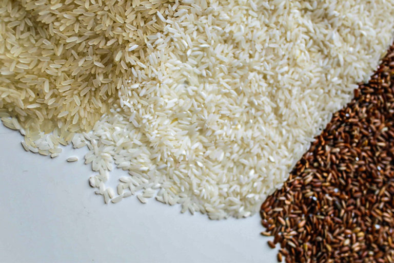 India launched its first genome-edited rice varieties