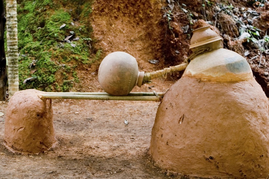 Feni: Goa's magical cashew brew - India Business and Trade